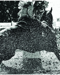 Accessories (12) - Fort Brands