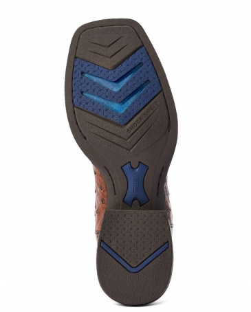 Ariat® Men's Dagger Dark Tabac FQ Ostrich - Fort Brands